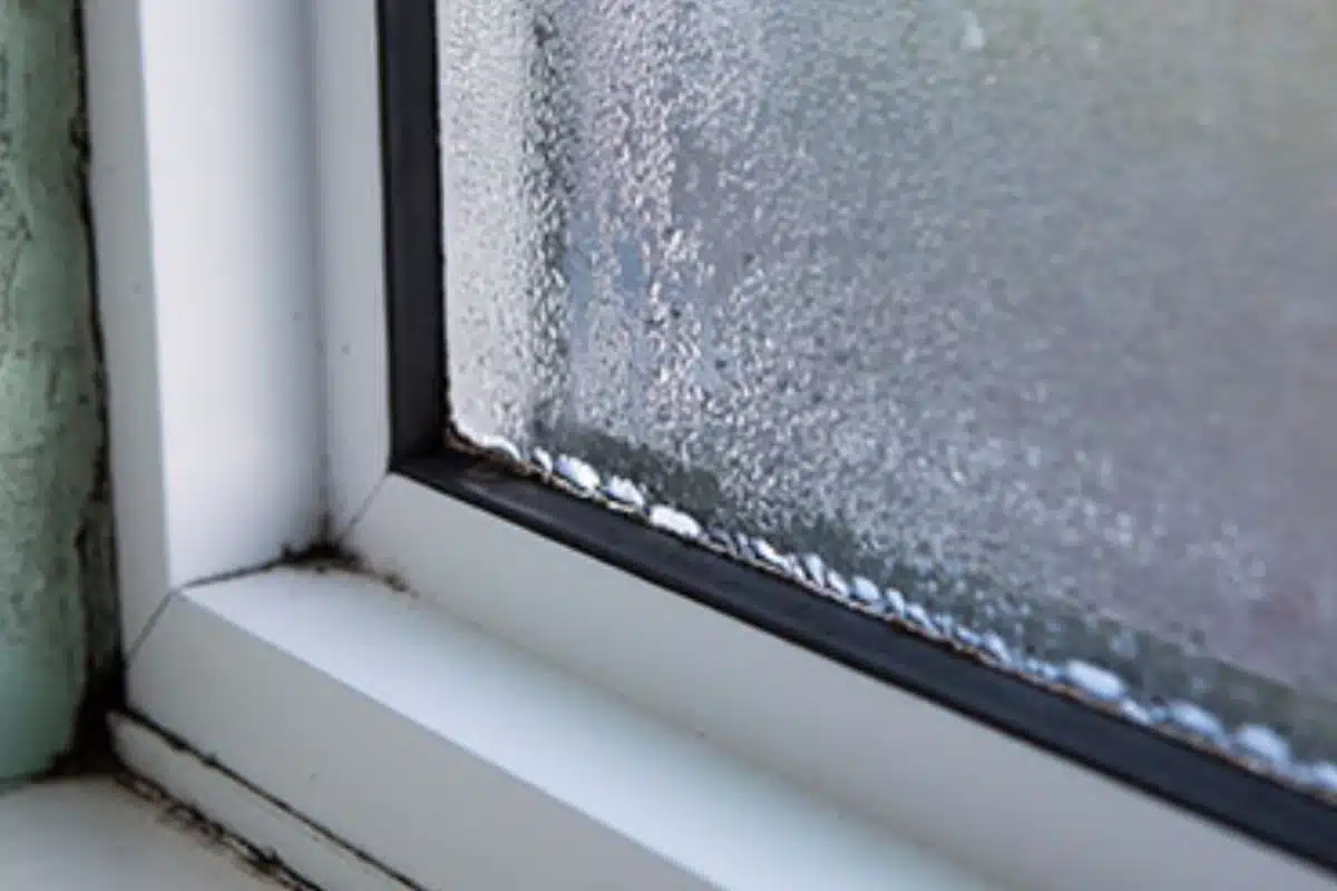 5 Reasons Why You Should Consider Replacing Your Windows - Select Windows